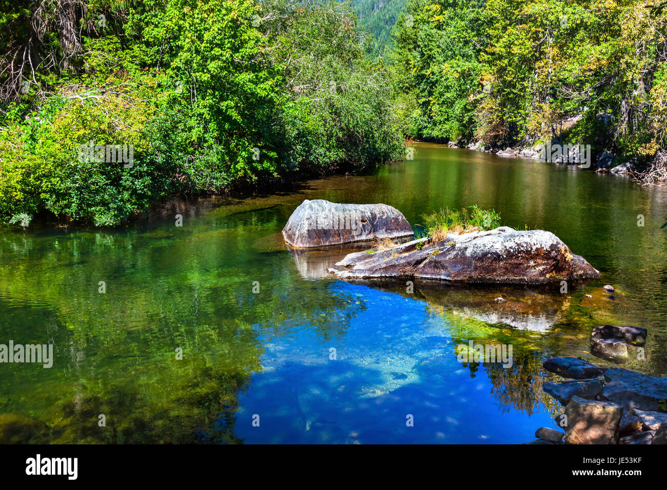 Trees at stevens lake hi-res stock photography and images - Alamy