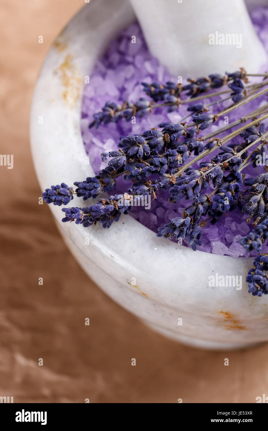 Close up of mortar with dried lavender and salt Stock Photo - Alamy