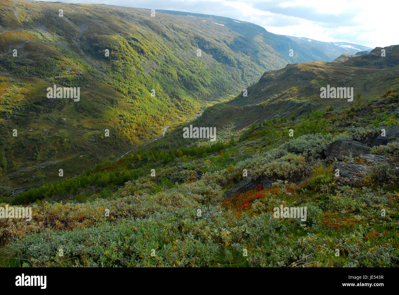 Filefjell norway hi-res stock photography and images - Alamy
