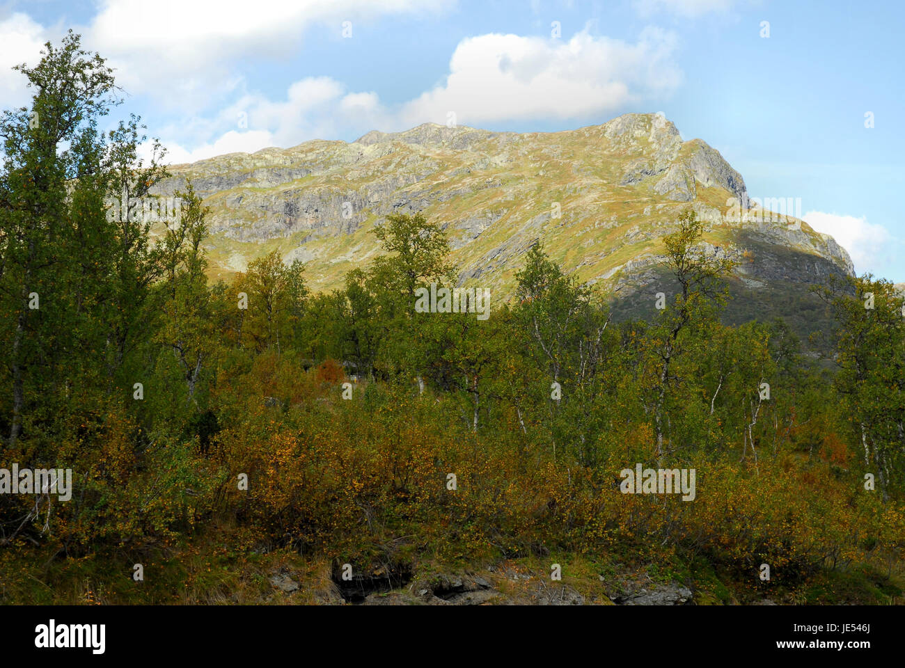 Filefjell norway hi-res stock photography and images - Alamy