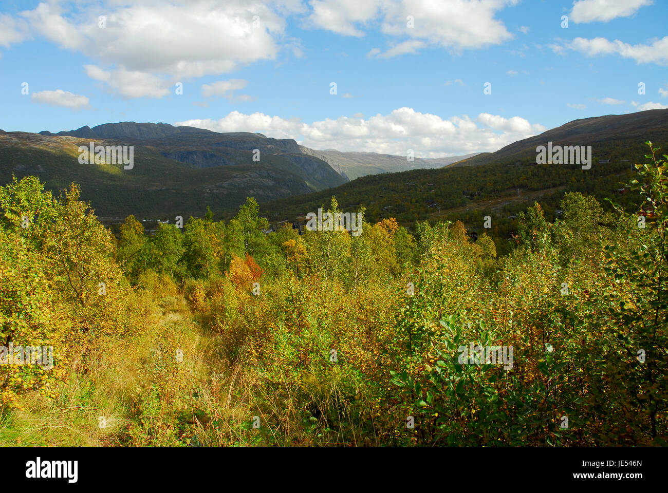 Filefjell norway hi-res stock photography and images - Alamy