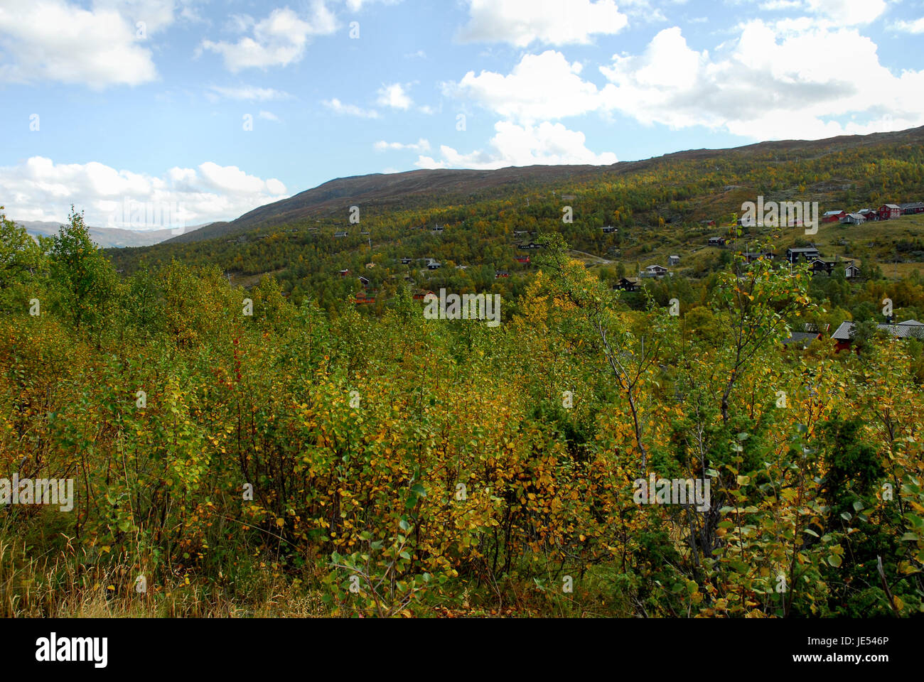 Filefjell norway hi-res stock photography and images - Alamy