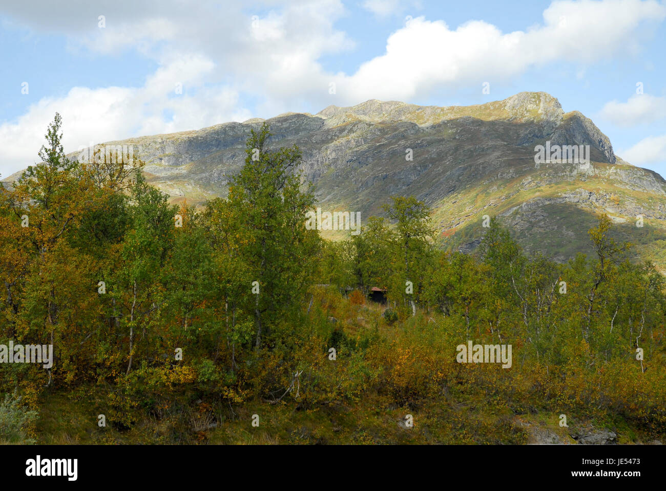 Filefjell norway hi-res stock photography and images - Alamy