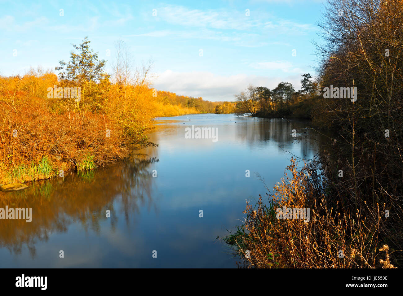 Mill lakes, in Bestwood Country Park Nottingham, dressed in the subtle ...