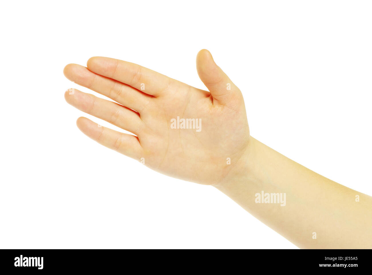 hand isolated on a white Stock Photo - Alamy