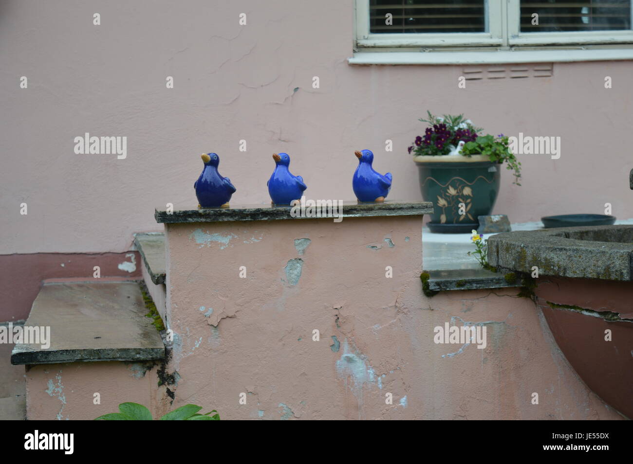 Three ducks in line showing discipline and leadership quality. front ...