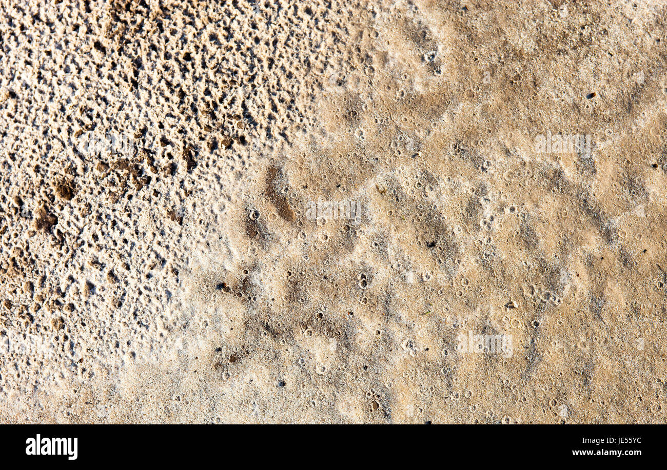 Sand surface after the rain with the visible traces of the raindrops ...