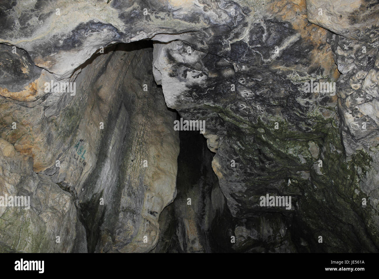 Jane cave hi-res stock photography and images - Alamy