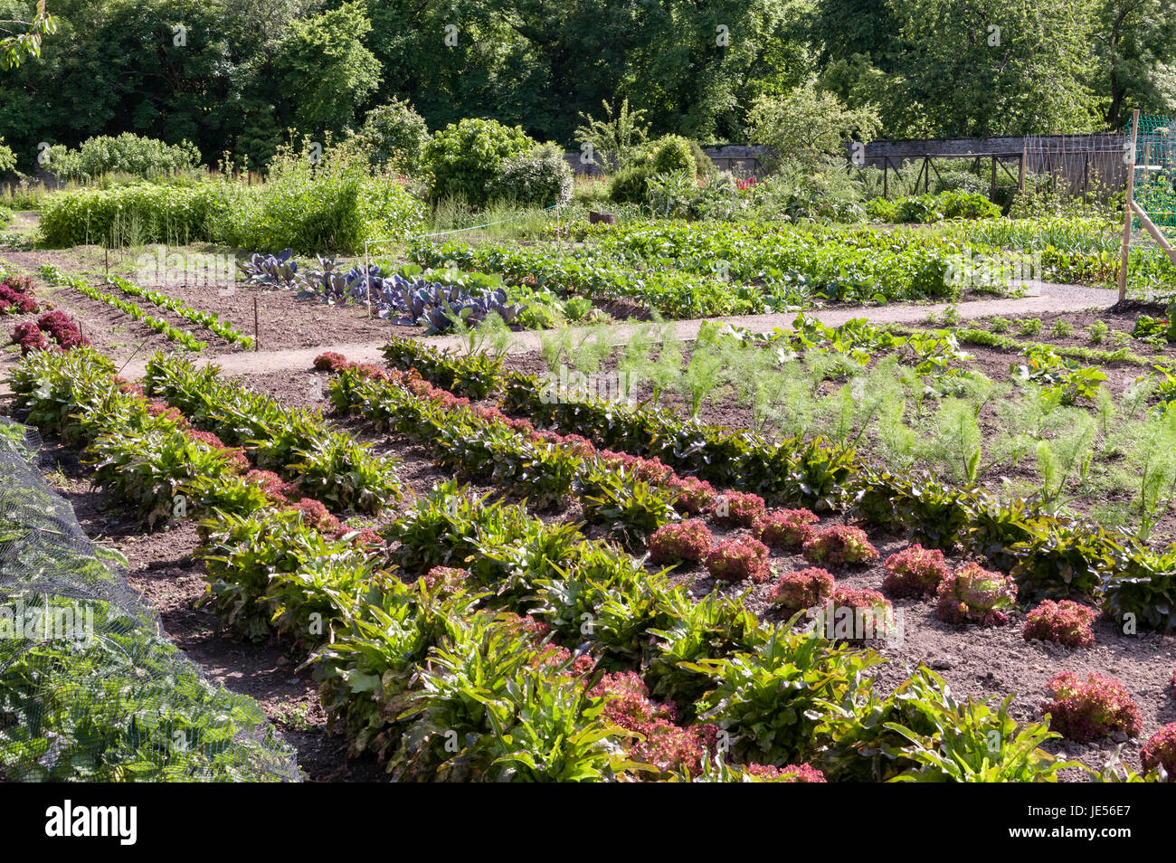 Victorian kitchen garden hi-res stock photography and images - Alamy