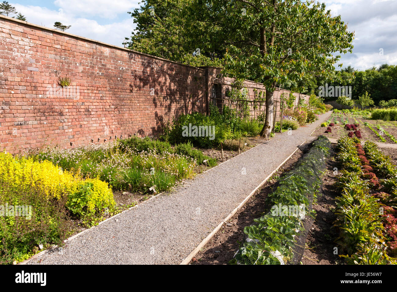 Victorian kitchen garden hi-res stock photography and images - Alamy