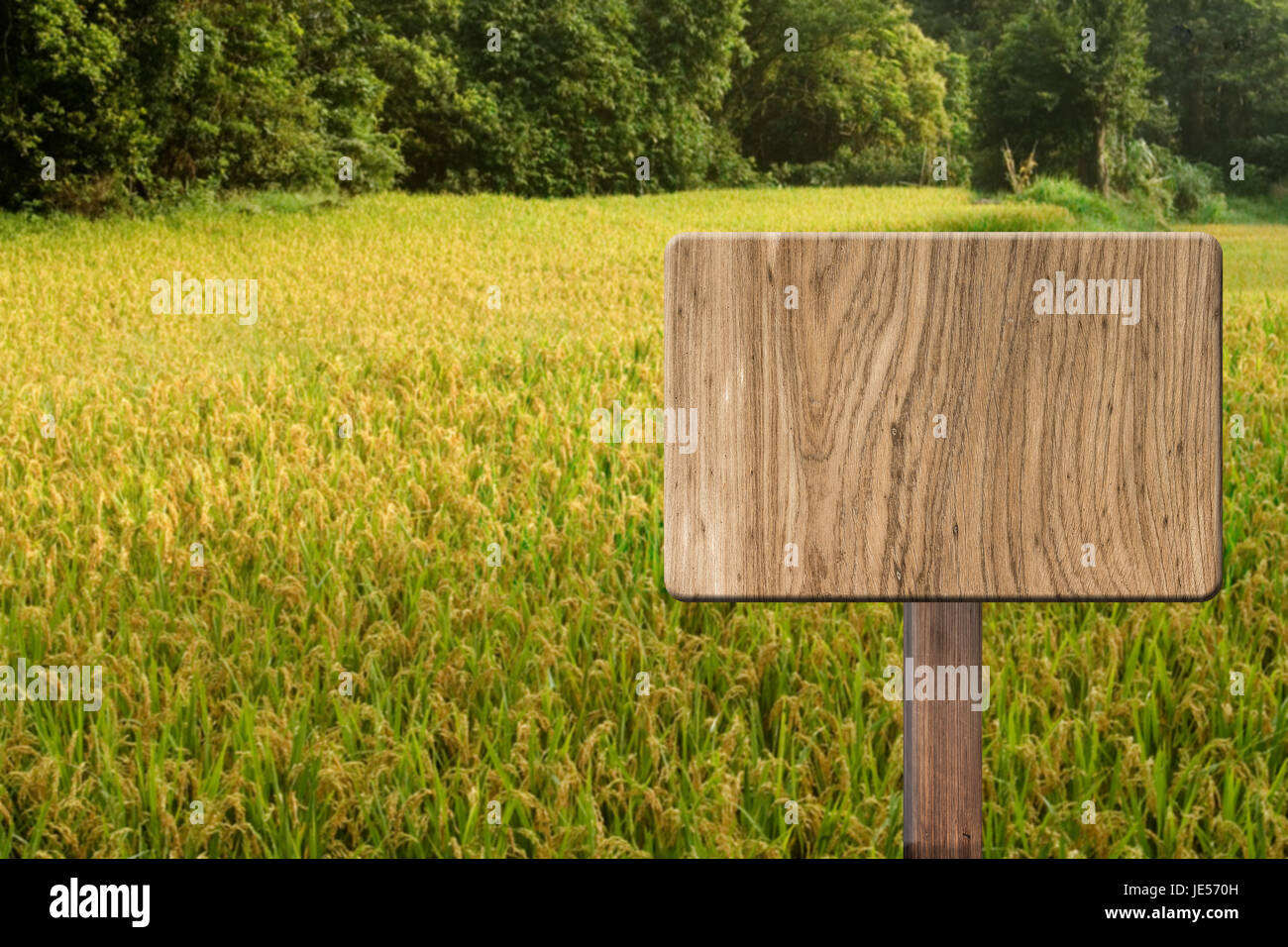 Blank wooden sign on field of farm. Concept of rural, idyllic ...