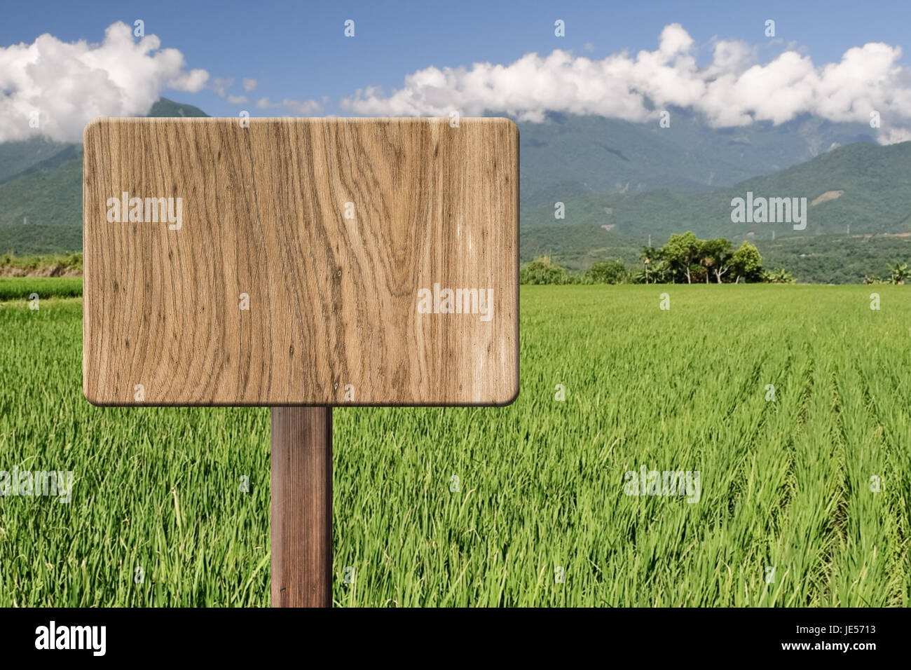 Blank wooden sign on field of farm. Concept of rural, idyllic ...