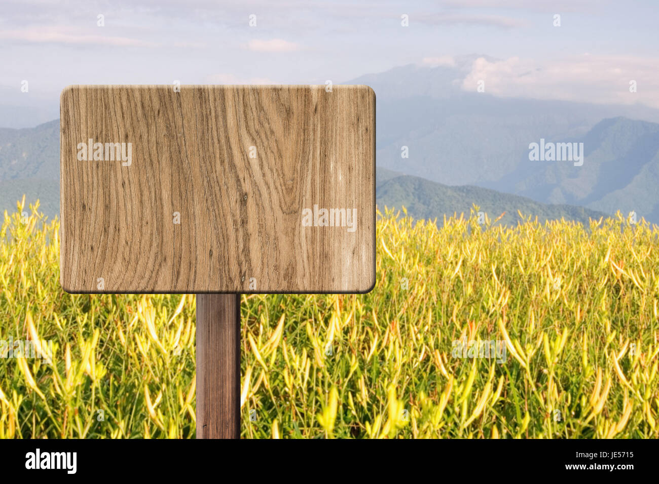 Blank wooden sign on field of farm. Concept of rural, idyllic ...
