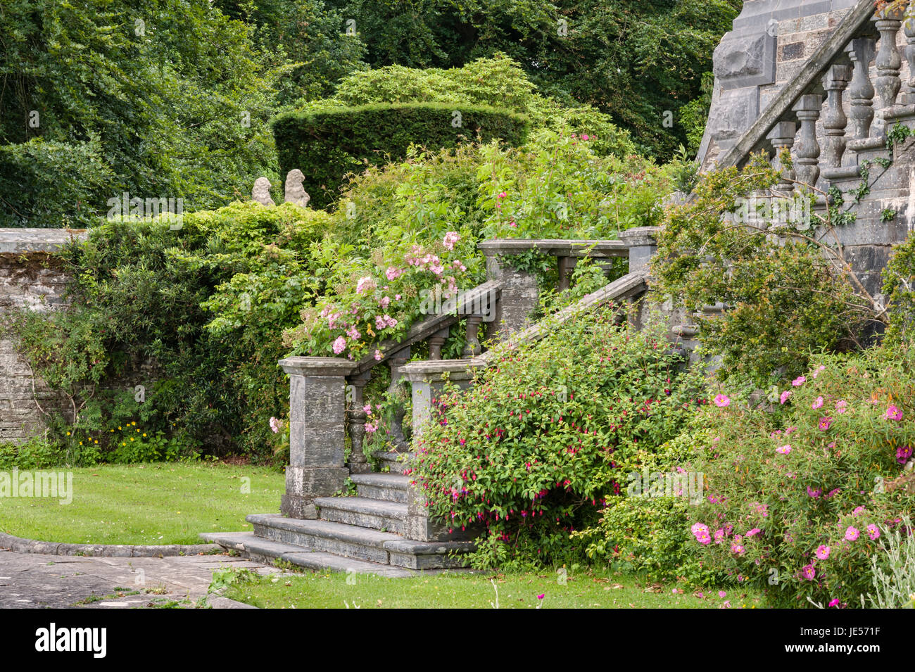 Ffynone mansion hi-res stock photography and images - Alamy