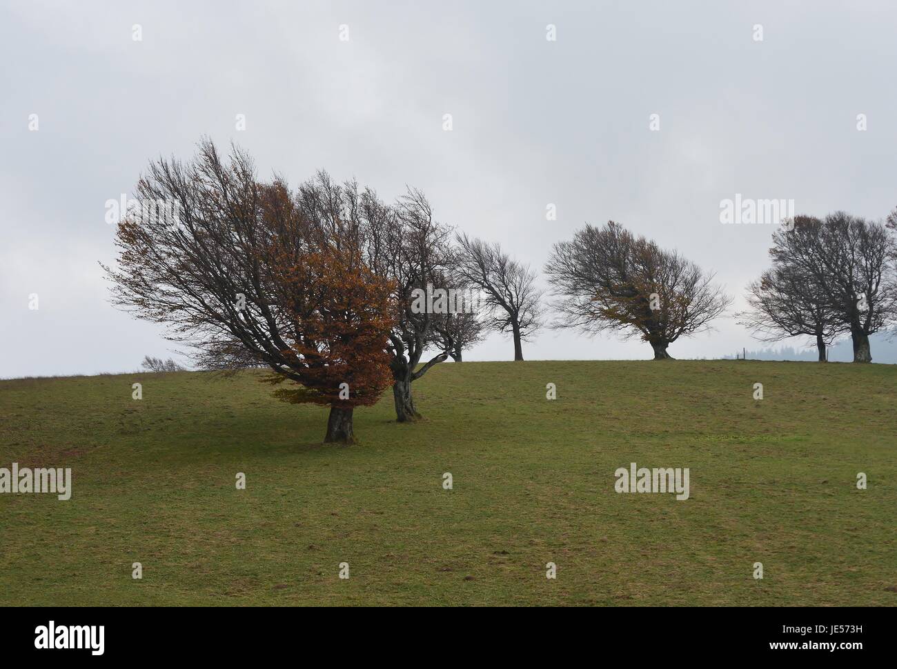 Wind book hi-res stock photography and images - Alamy