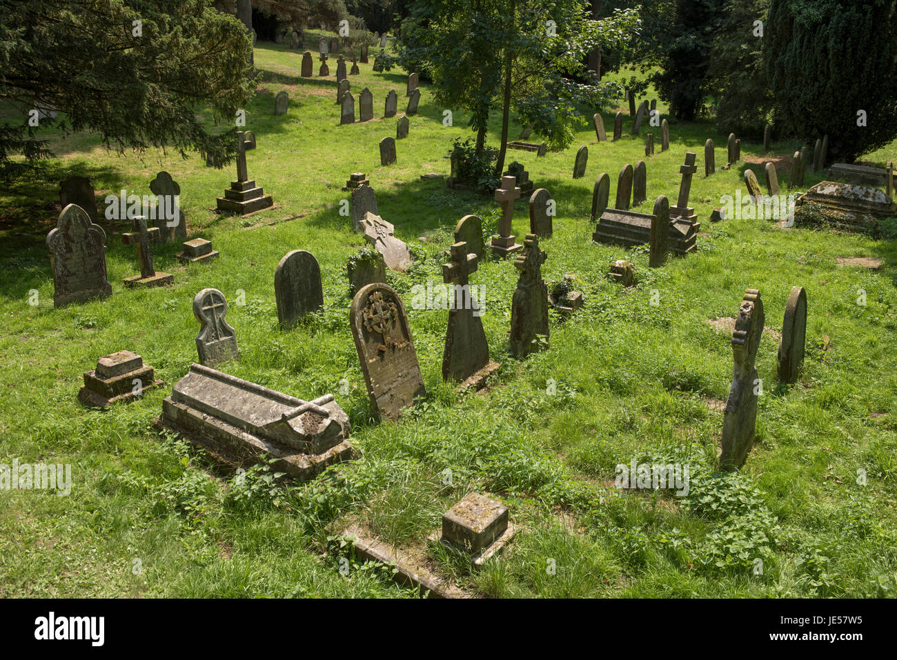 Halesworth Cemetery, Suffolk, England,UK. 21 June 2017 The early ...