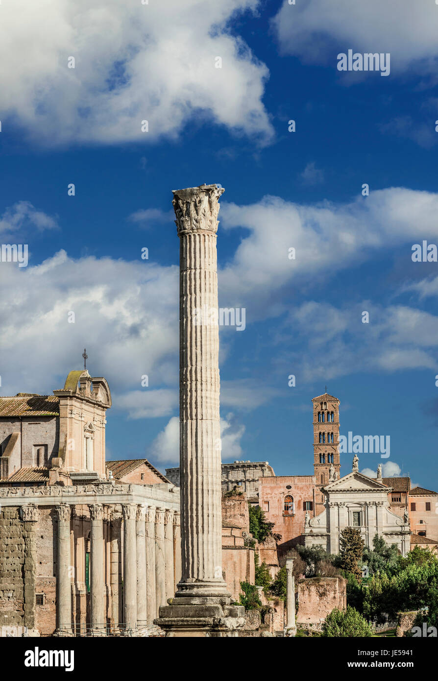 Roman Forum ancient ruins and churches with the Column of Phocas Stock ...