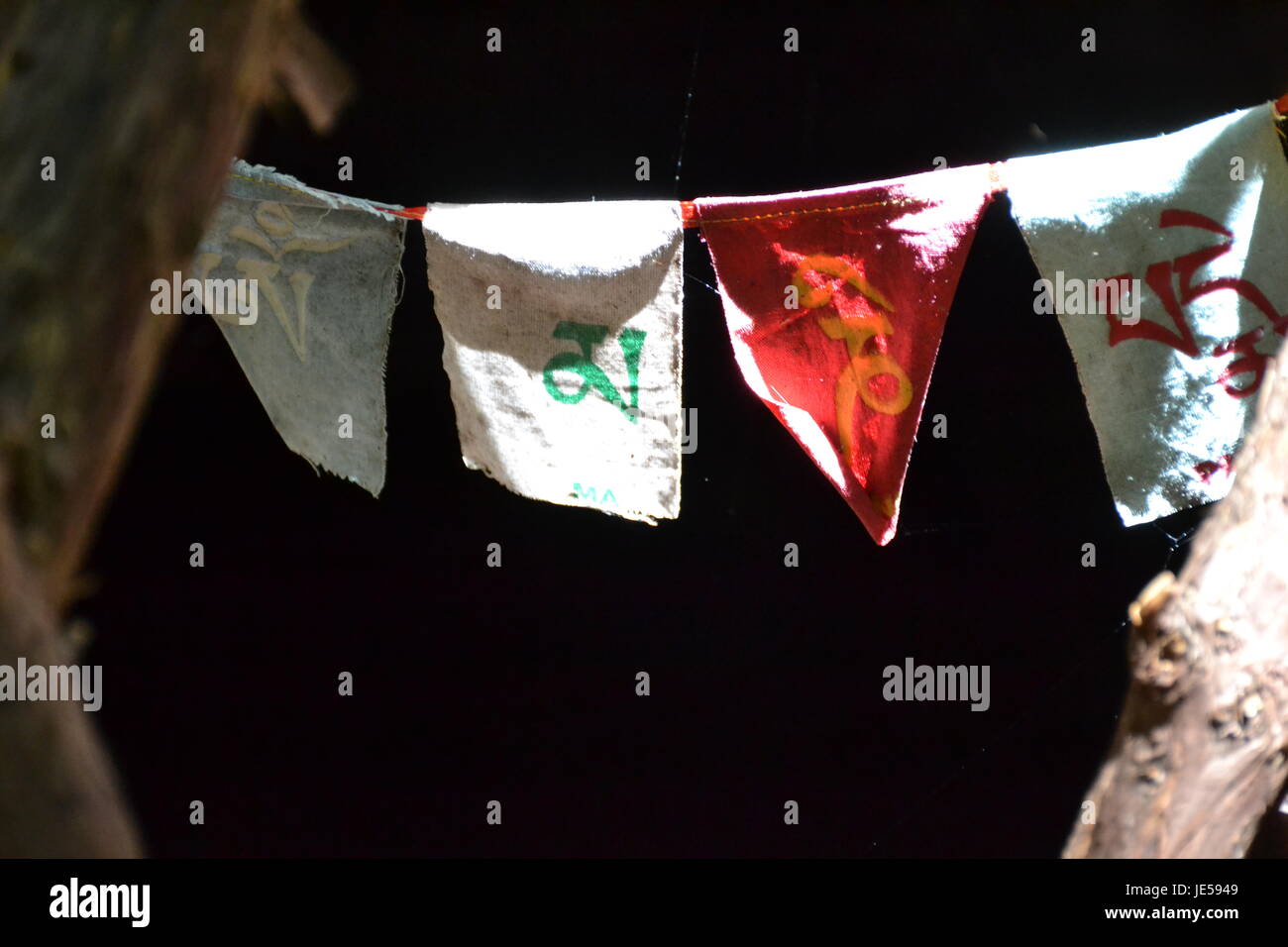 Prayer Flags in the Redwoods Stock Photo - Alamy