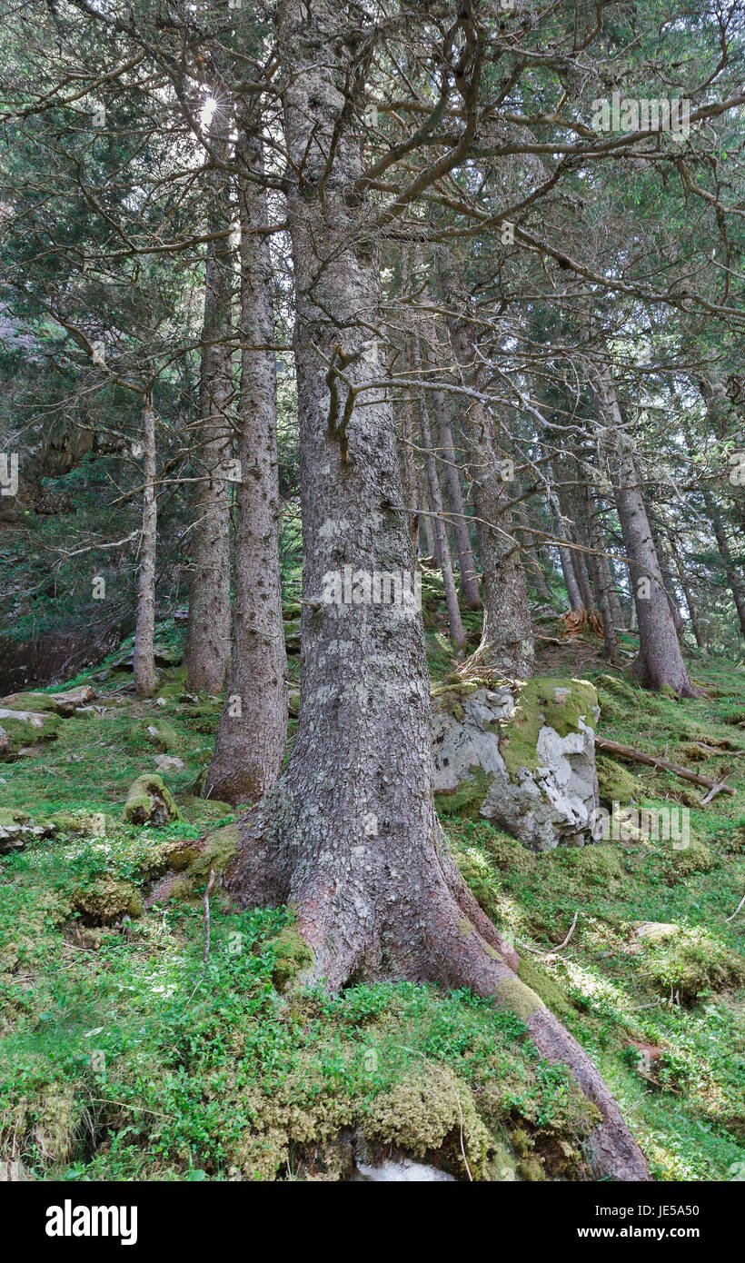 Background alps hi-res stock photography and images - Alamy