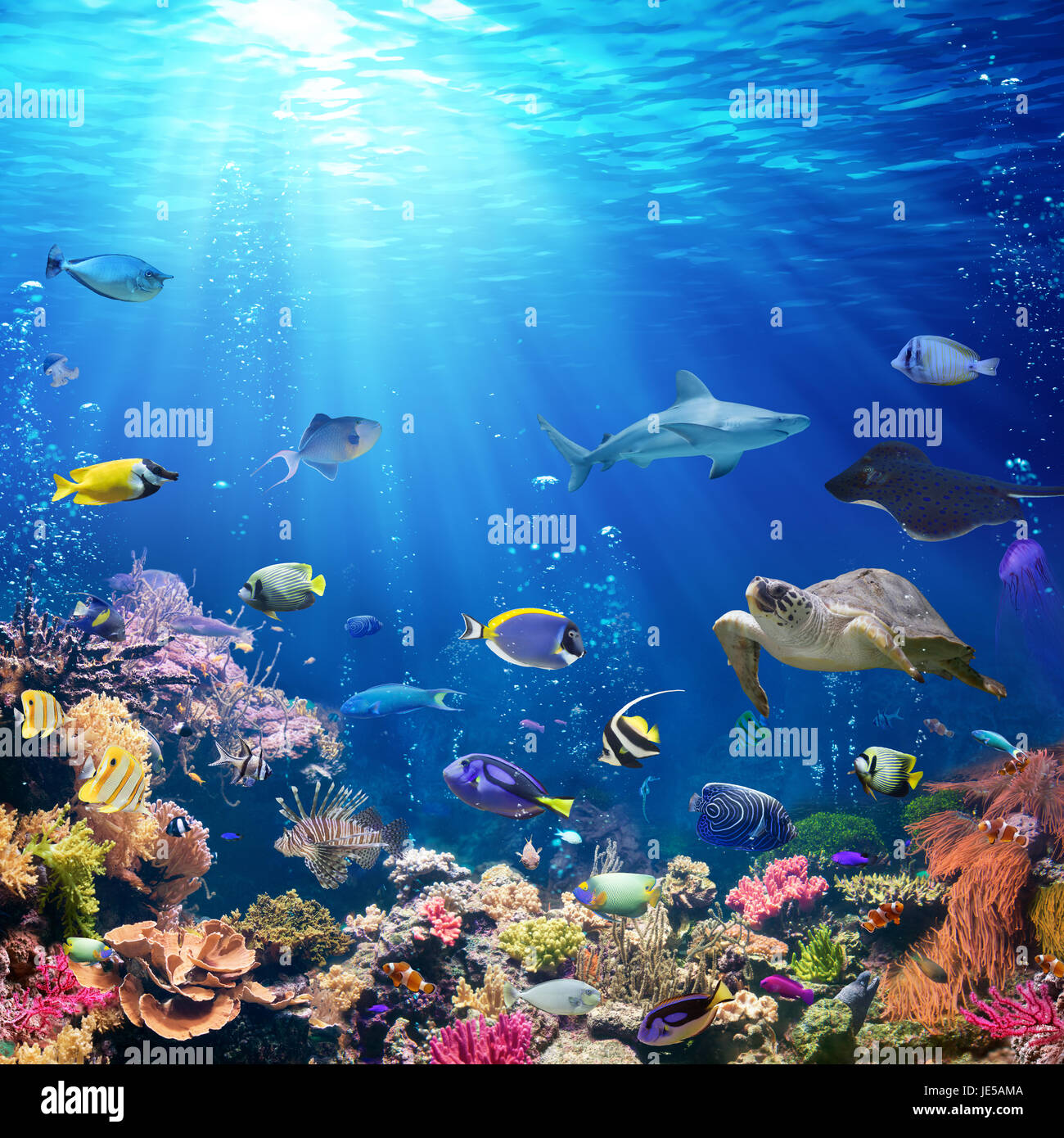 Underwater Scene With Coral Reef And Tropical Fish Stock Photo - Alamy