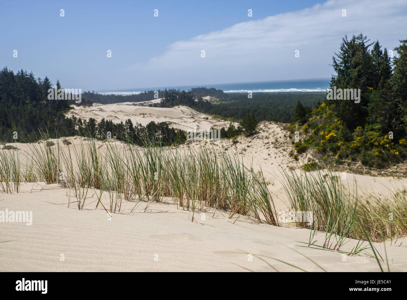Oregon dunes overlook hi-res stock photography and images - Alamy