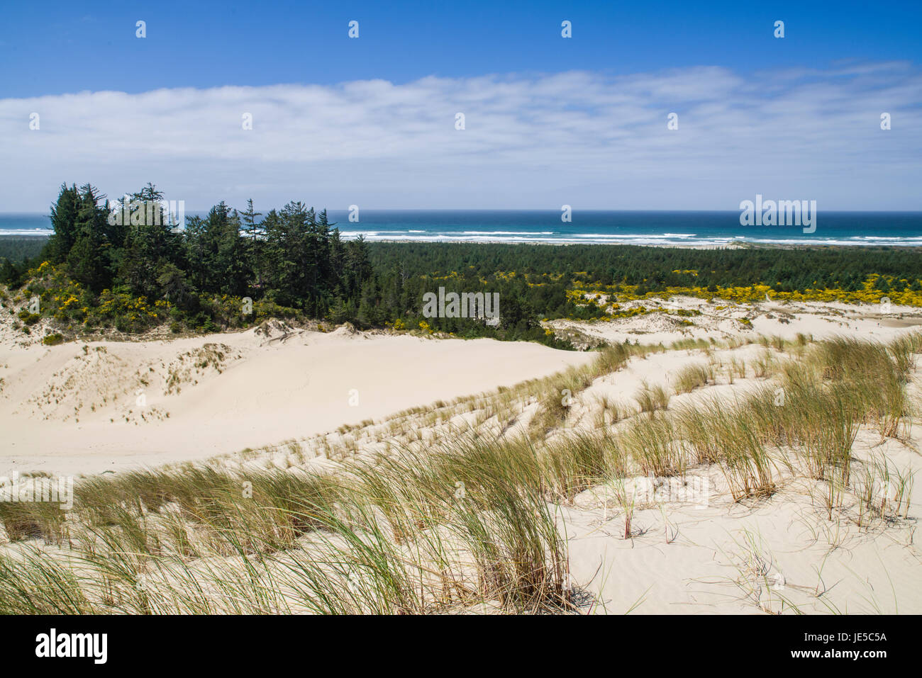 Oregon Dunes Overlook provides wooden ealkways to overlook a portion of ...