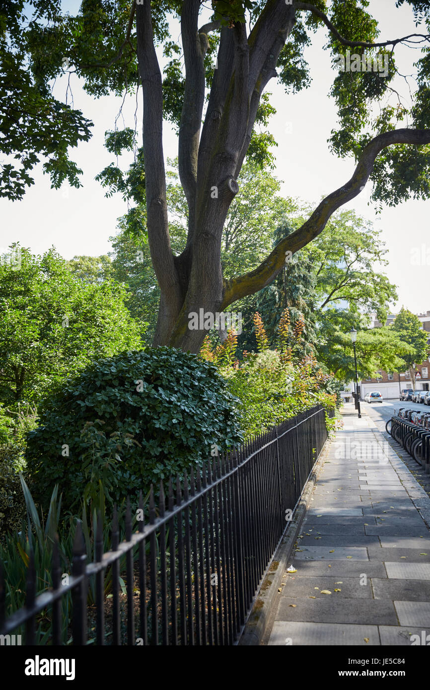 Cadogan Place, London, UK Stock Photo - Alamy