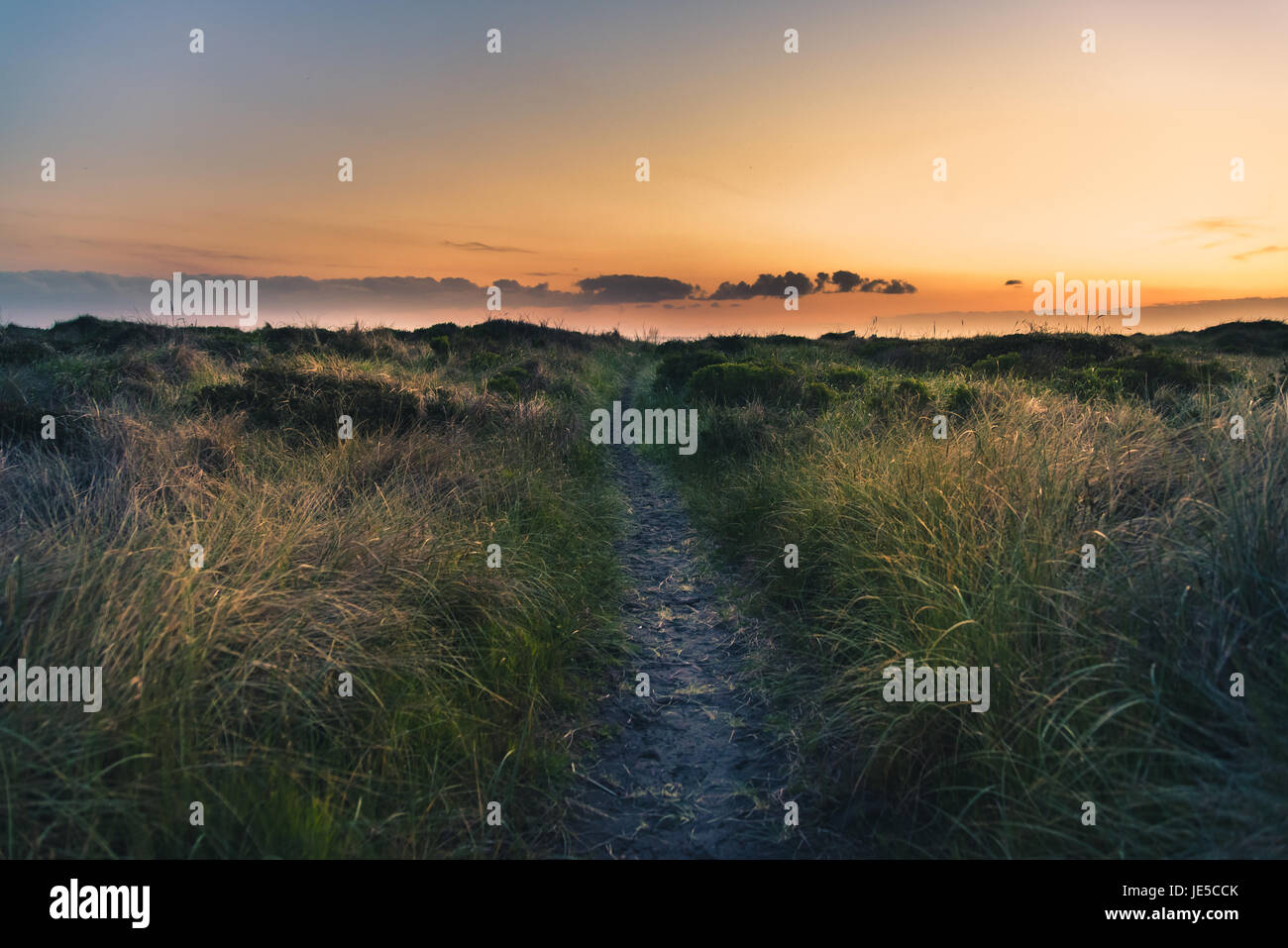 Trail to the beach at sunset Stock Photo - Alamy
