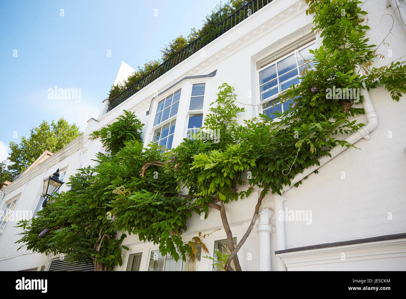 Clabon mews hi-res stock photography and images - Alamy