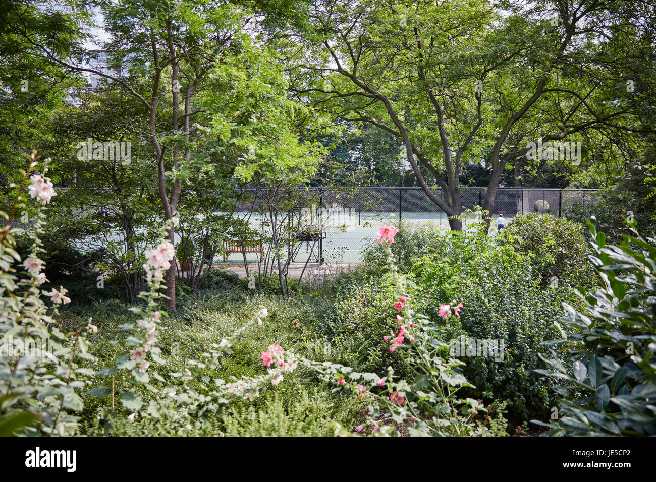 Cadogan Place, London, UK Stock Photo - Alamy