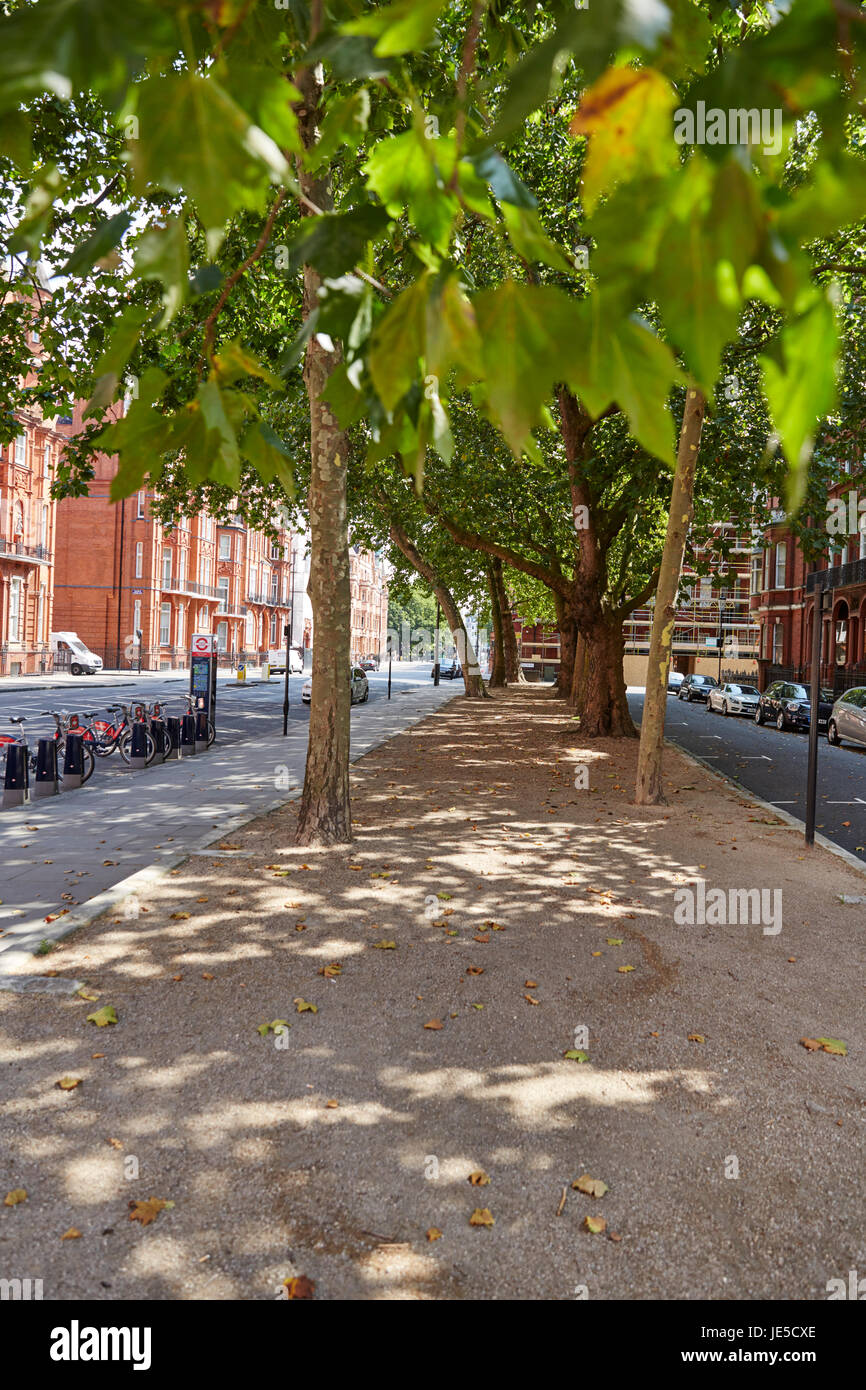 Pont Street, London, UK Stock Photo - Alamy