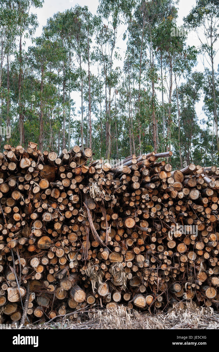 Manufacture Of Paper High Resolution Stock Photography and Images - Alamy