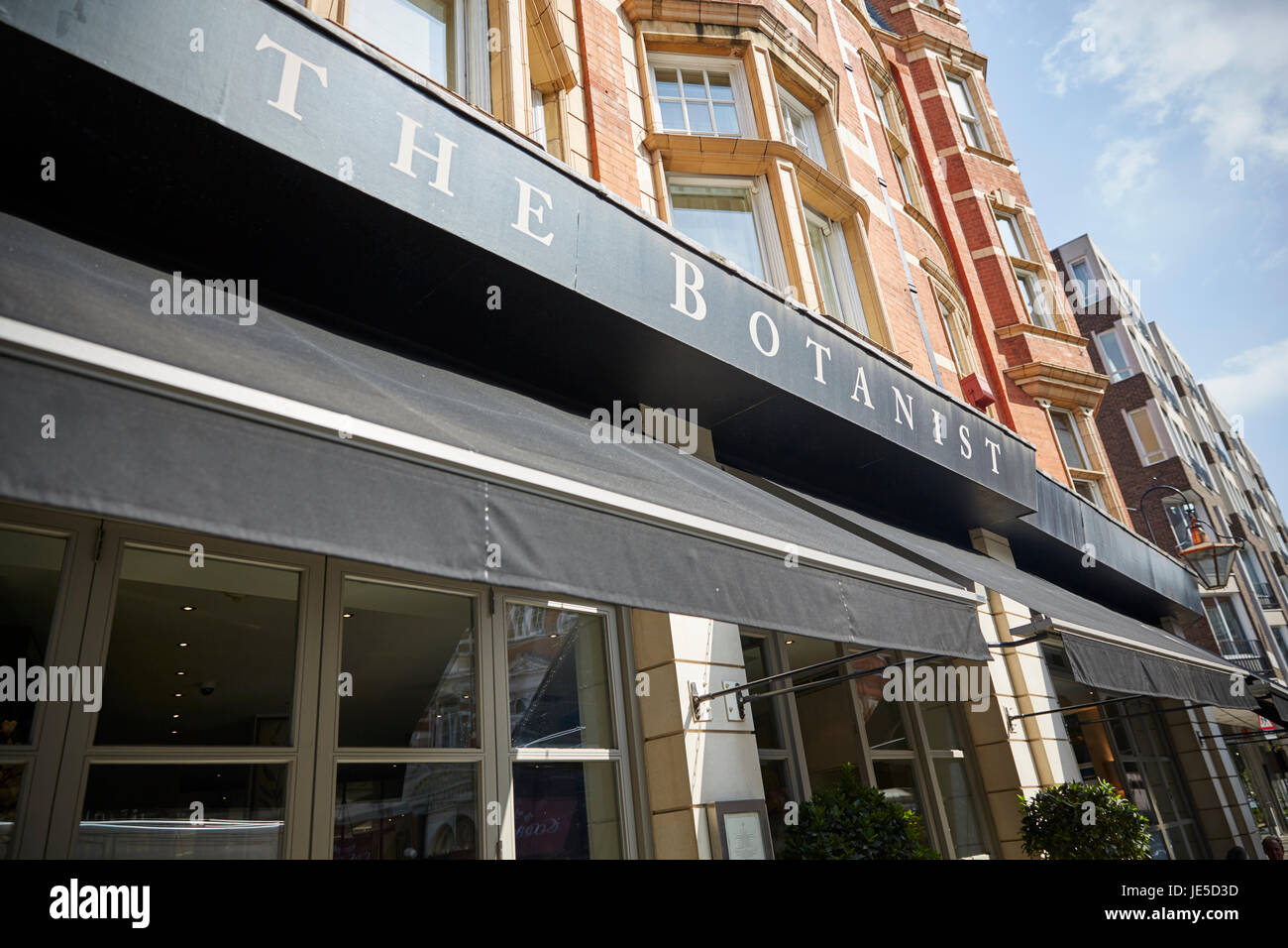 The Botanist, London, UK Stock Photo - Alamy