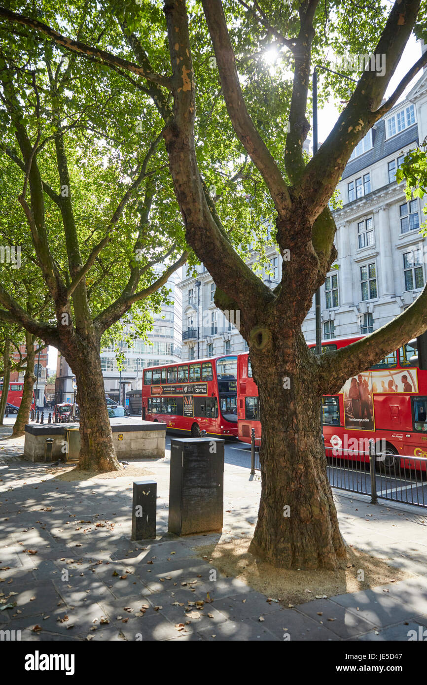 Sloane square road sign hi-res stock photography and images - Alamy