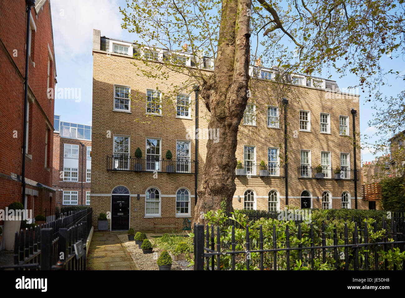 Camberwell Grove, London, UK Stock Photo - Alamy