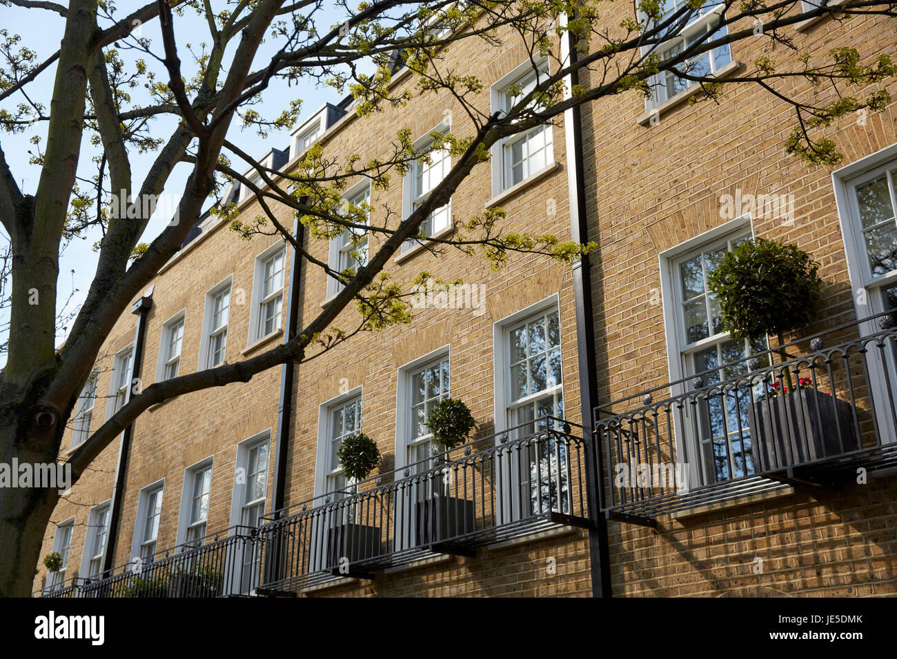 Camberwell Grove, London, UK Stock Photo - Alamy