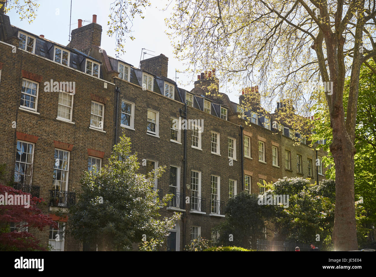Camberwell Grove, London, UK Stock Photo - Alamy