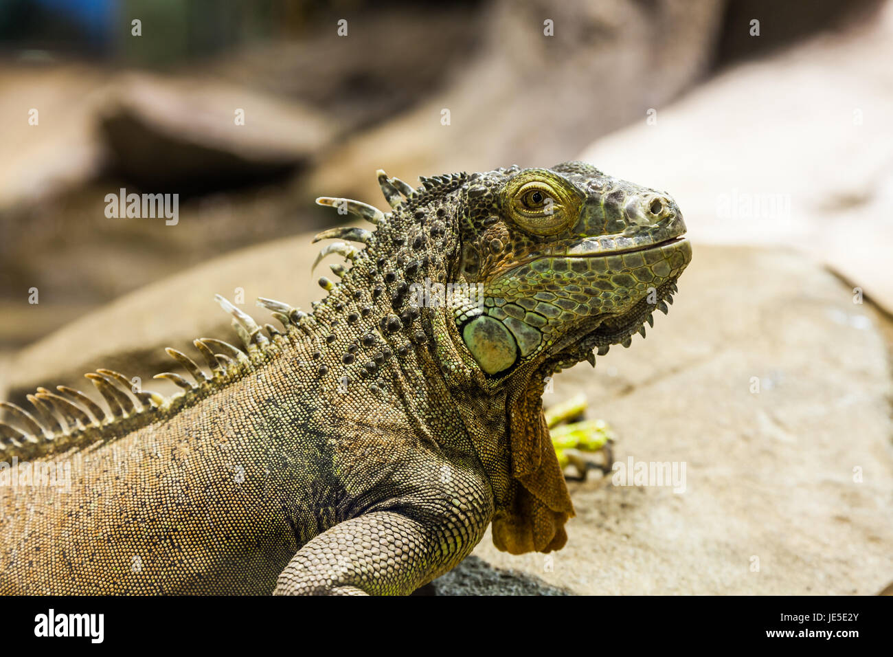 150 cm hi-res stock photography and images - Alamy