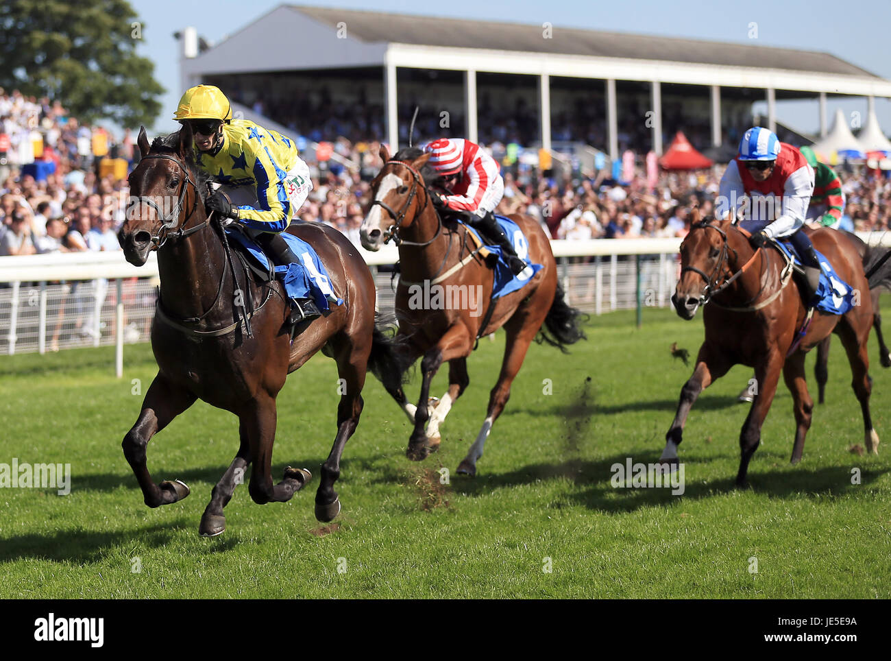 Reg griffin appreciation ebfstallions com maiden stakes hi-res stock ...