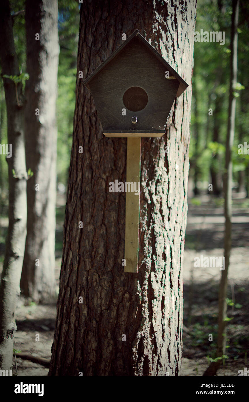 A brown wooden birdhouse on the tree trunk in the forest Stock Photo ...