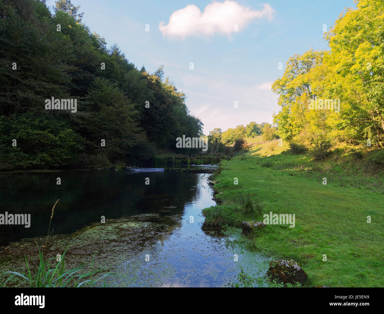 In the morning sunlight the shallow, clear, water of the River Lathkill ...