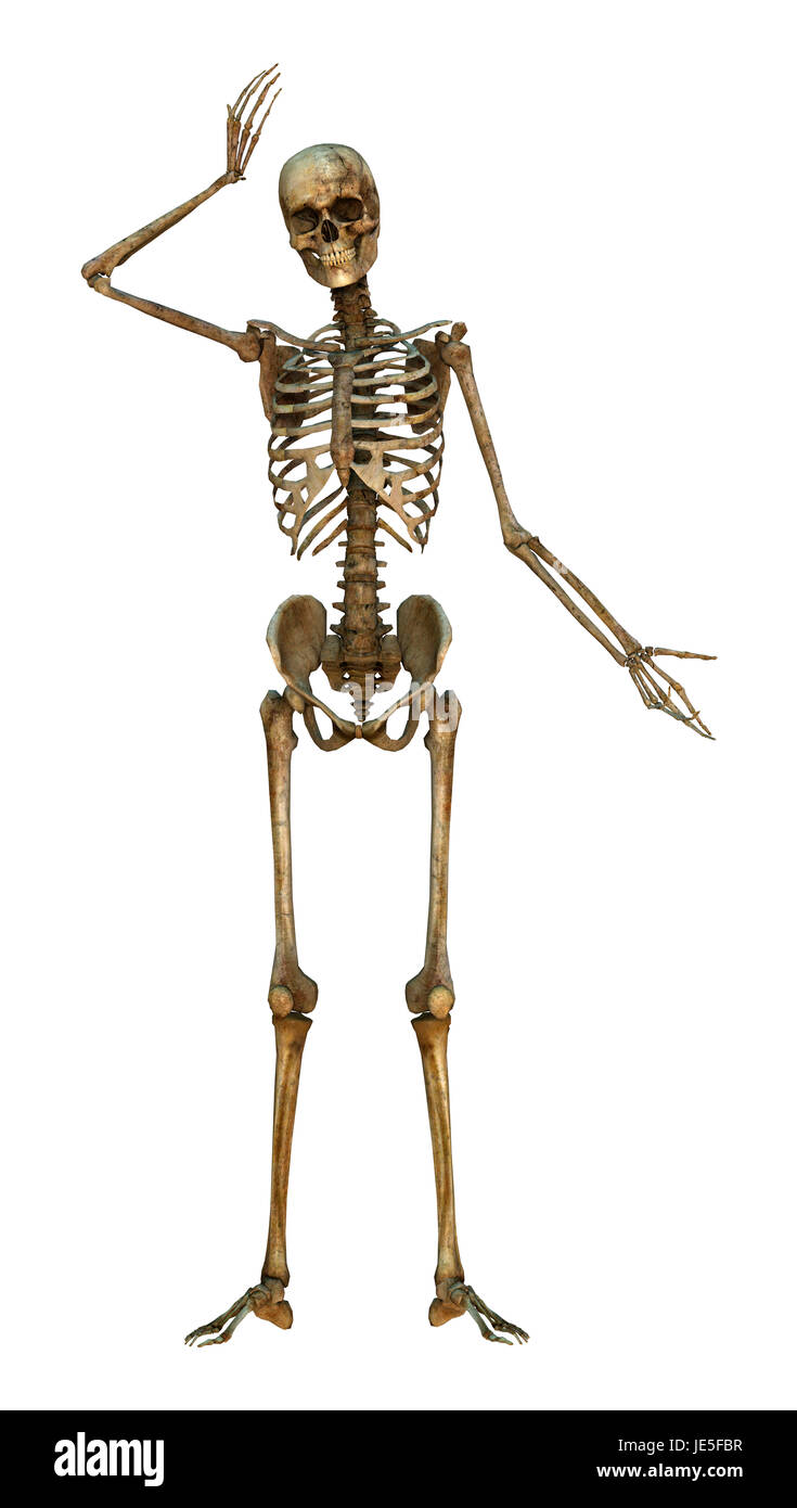 3D digital render of an old human skeleton isolated on white background ...