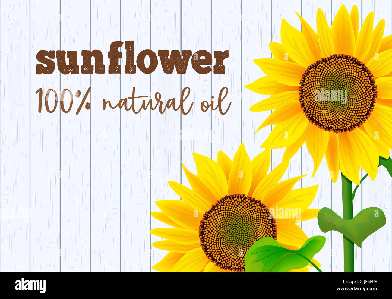 Sunflowers on white wooden background vector illustration. Banner with ...