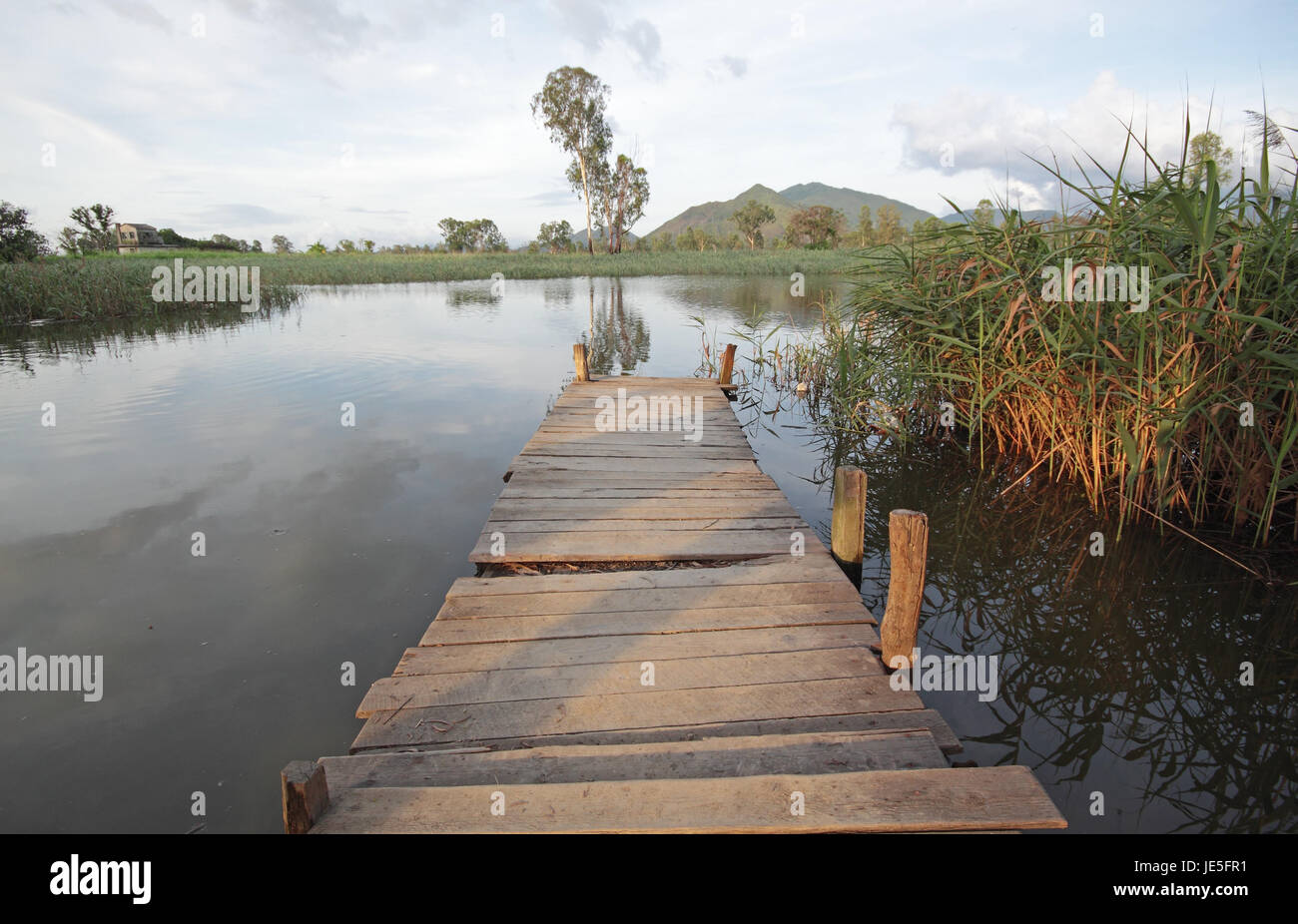 Jetty on lake at day Stock Photo - Alamy