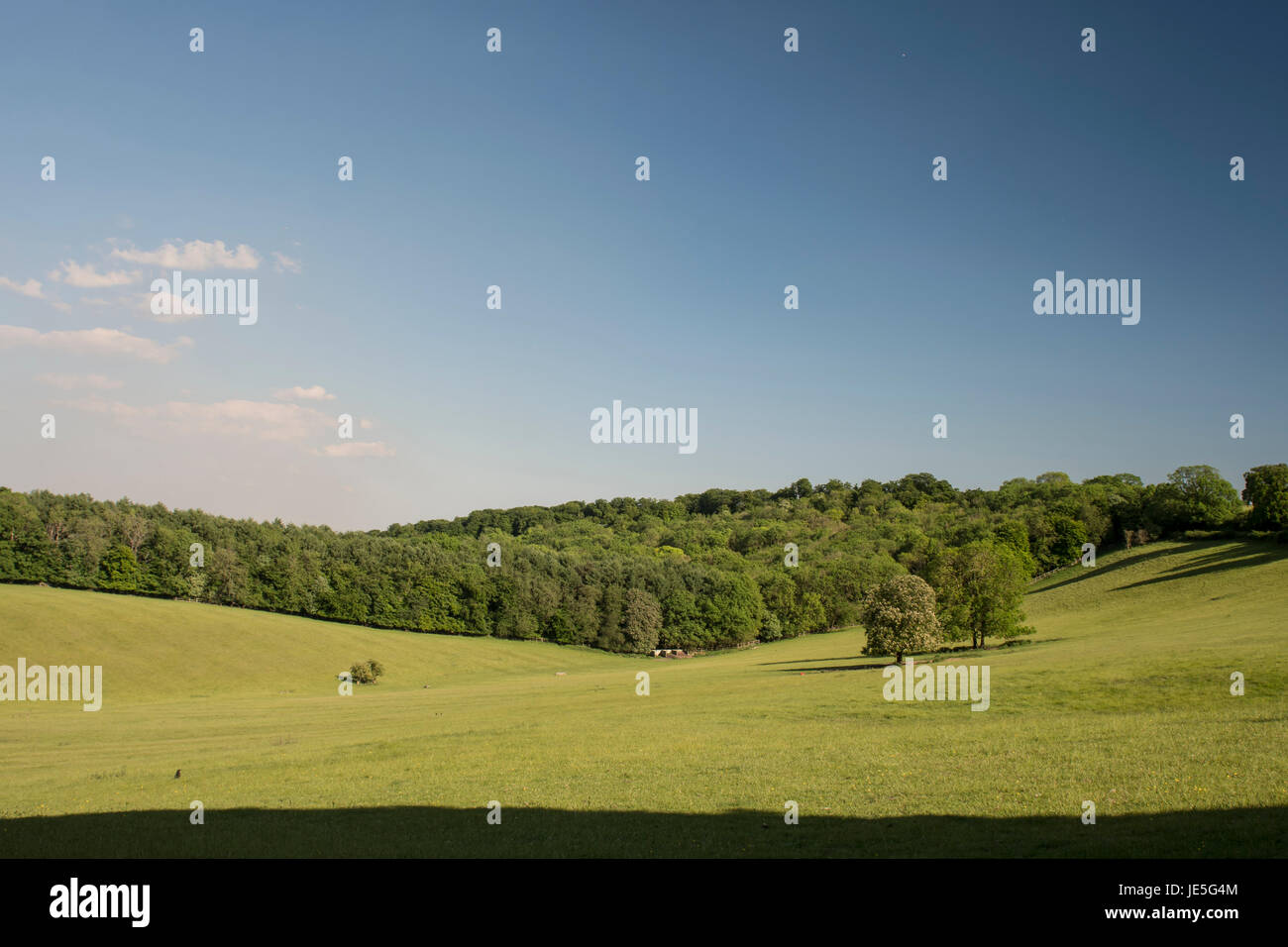 English summer countryside hi-res stock photography and images - Alamy