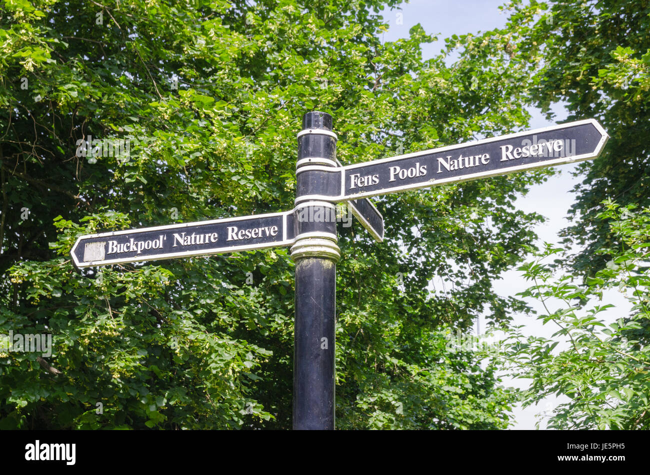The Buckpool and Fens Pools at Barrow Hill Nature Reserve in Dudley ...