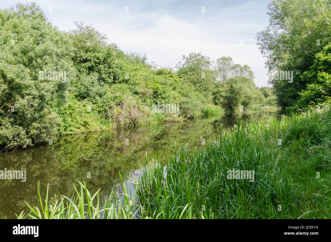 The Buckpool and Fens Pools at Barrow Hill Nature Reserve in Dudley ...