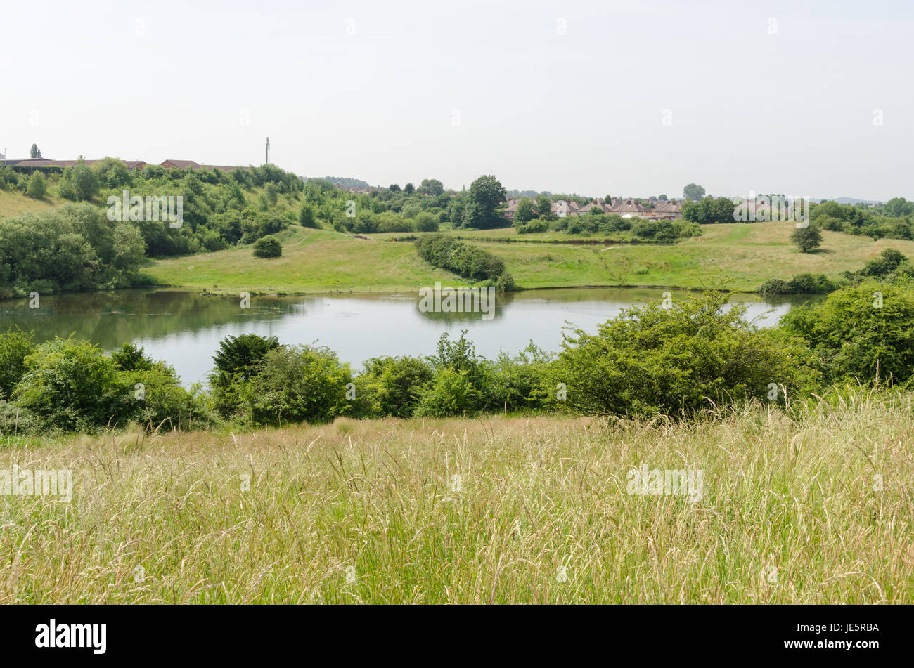 Buckpool nature reserve hi-res stock photography and images - Alamy