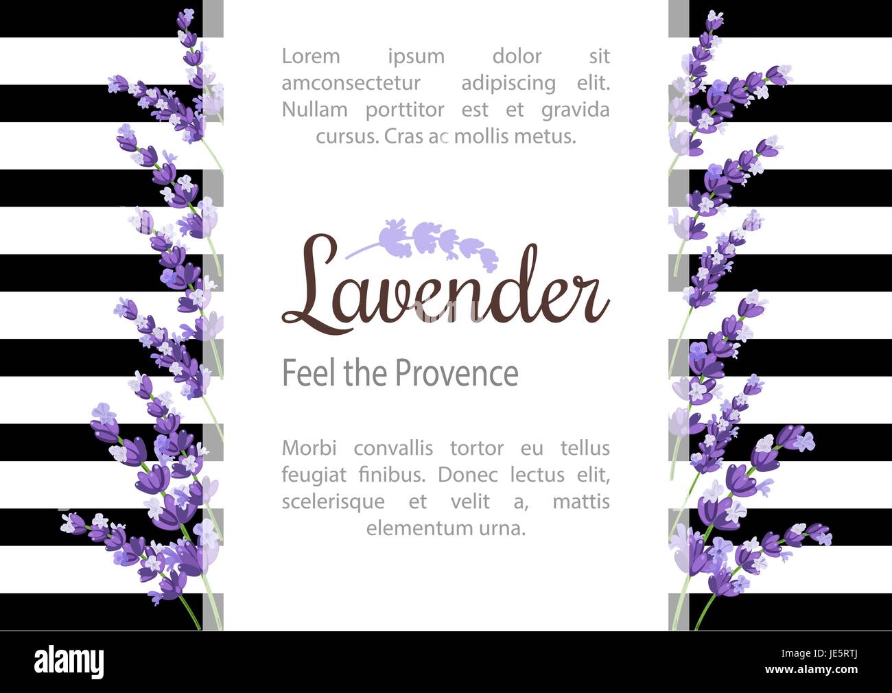 Lavender card hi-res stock photography and images - Alamy