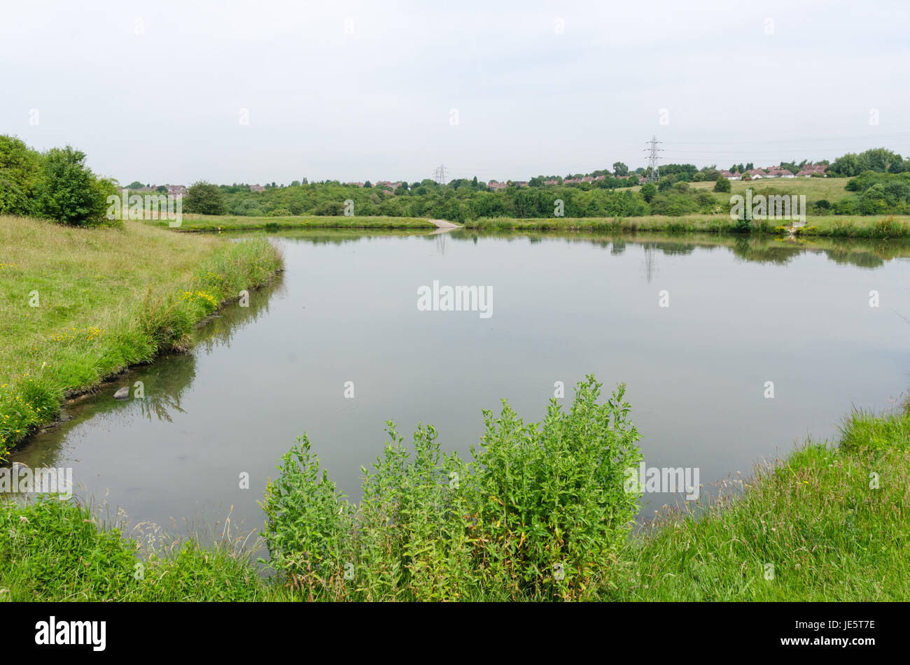 The Buckpool and Fens Pools at Barrow Hill Nature Reserve in Dudley ...